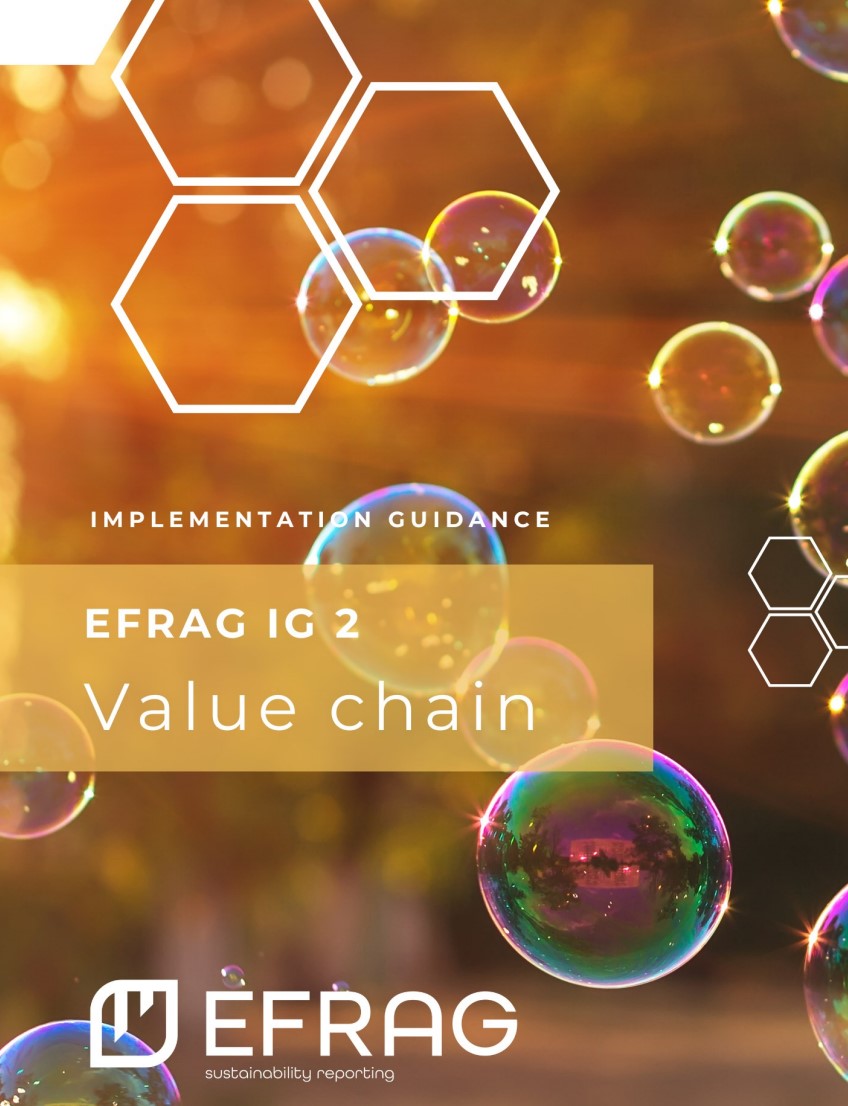 EFRAG IG 2：价值链实施指南 | IFC Beyond the Balance Sheet